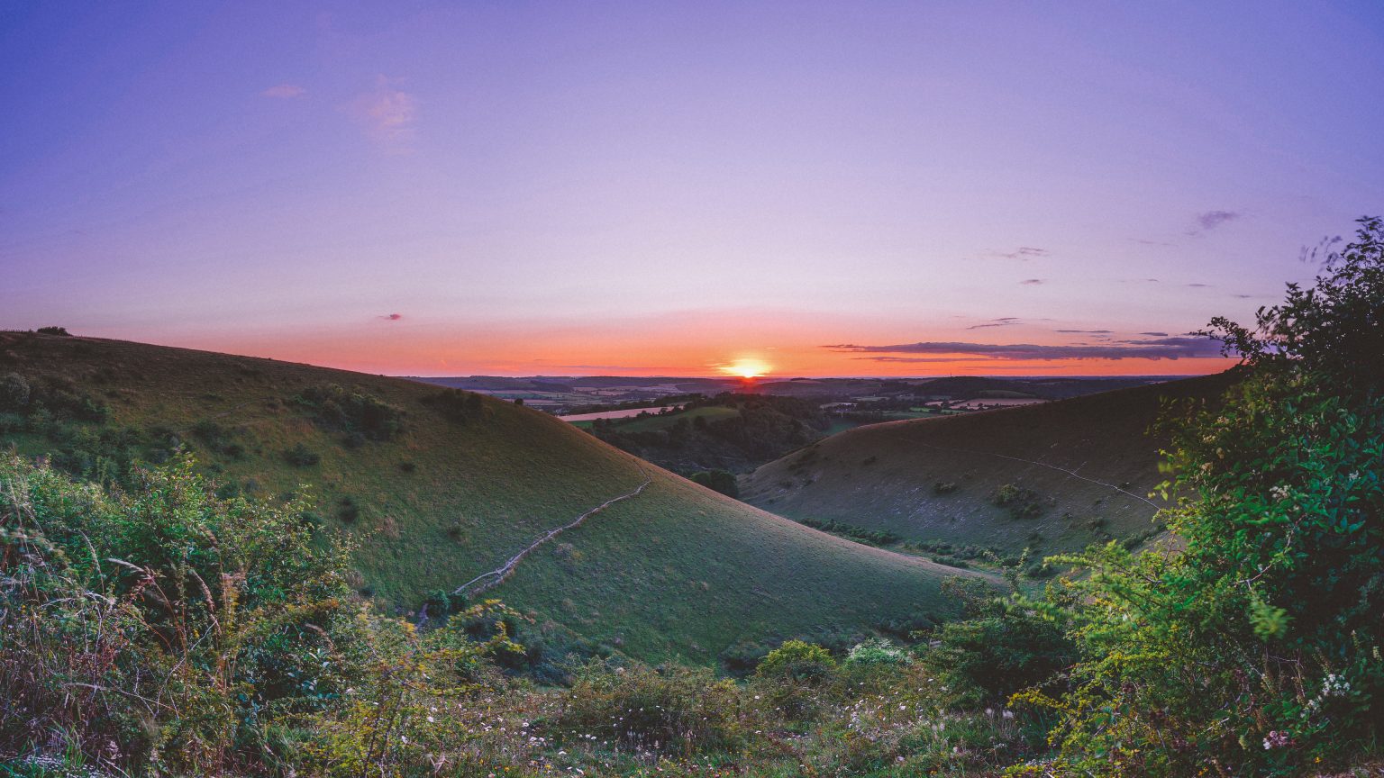 The Thomas Lord - Upham Inns