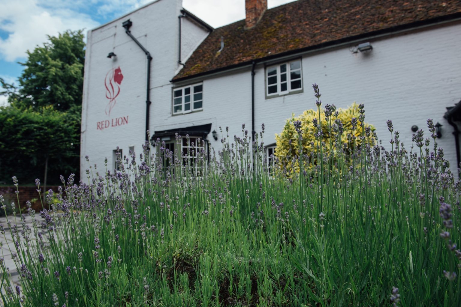 Inns - Upham Inns